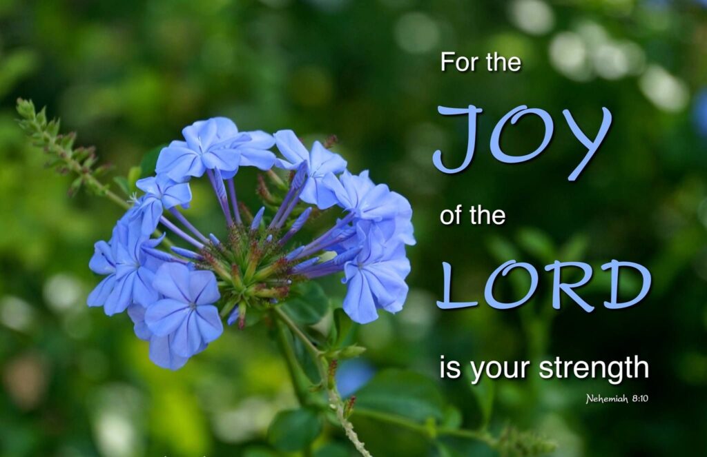 THE JOY OF THE LORD IS OUR STRENGTH… – Devotions Online